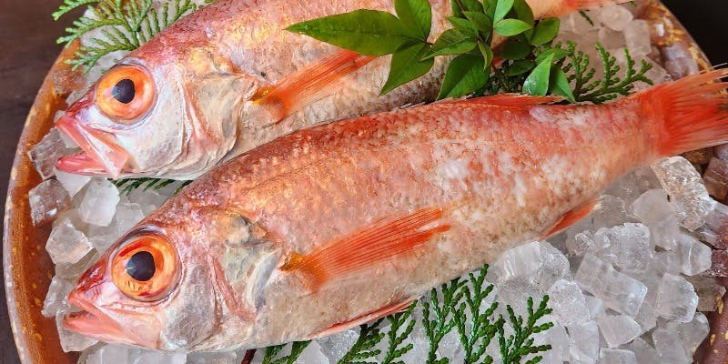 銀座方舟 大吟醸しずく店 ＜全室個室＞【輝】「喉黒一本姿焼き」「香箱蟹」など～全9品～＋選べるドリンク4杯付き（喉黒300g程度） ディナー ...