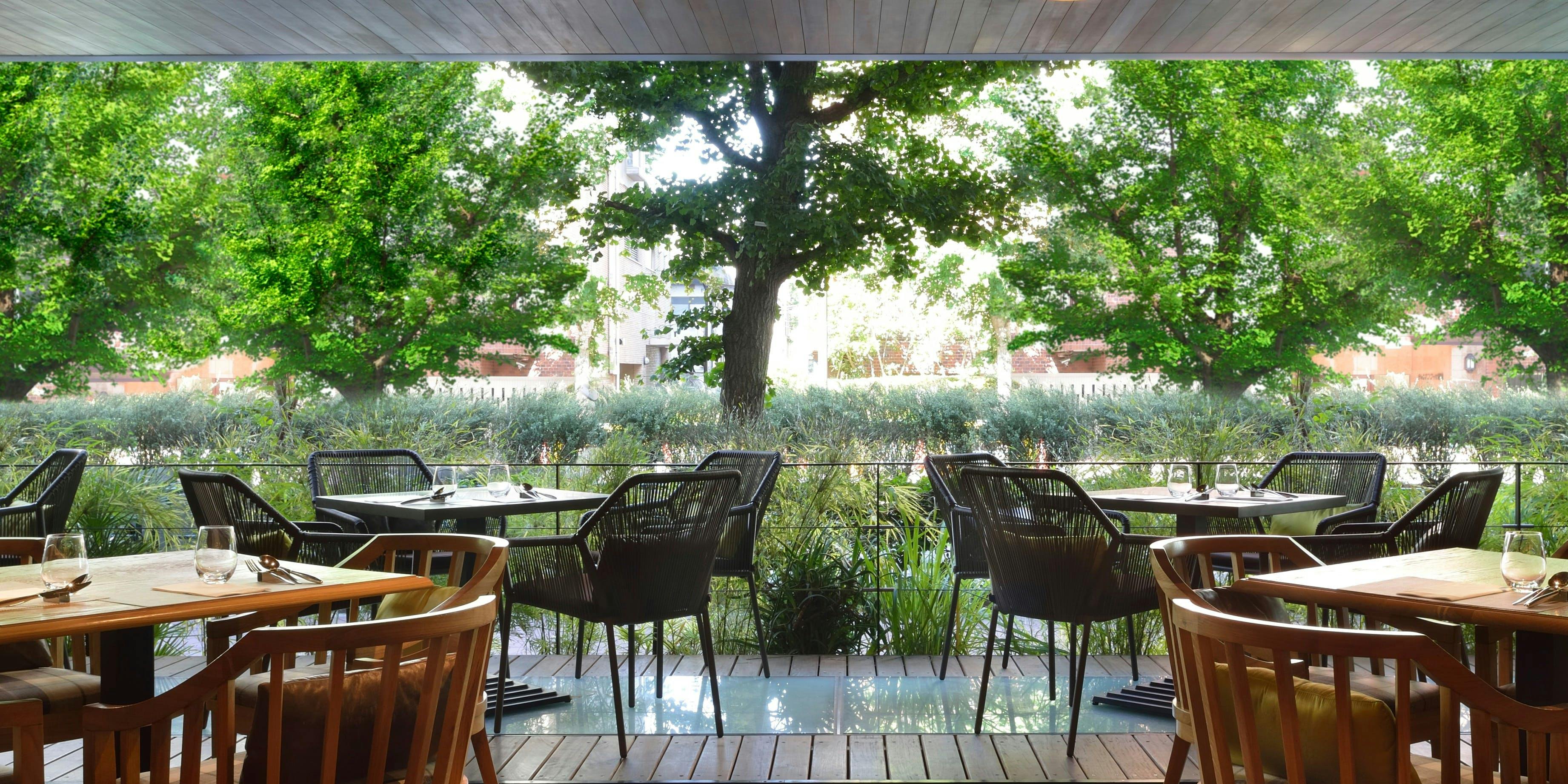 THE Tender HOUSE DINING 【ランチコース 4800円】はじめてのペルー料理体験におすすめ 肉・魚も楽しめる全5品 ランチ ...