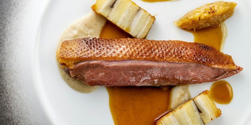 花の木 【Menu Saison】前菜2種・Wメイン・デザートなど全6品 ディナー プラン(12110246)・メニュー