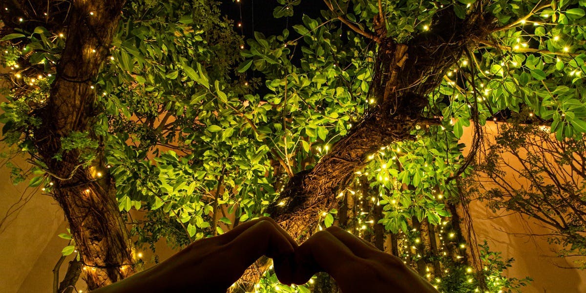 LAZOR GARDEN DINING 【MEMORIAL】貸切チャペルで赤バラ108本撮影付き贅沢なプロポーズプラン＋コース＋乾杯酒＋バラ ...