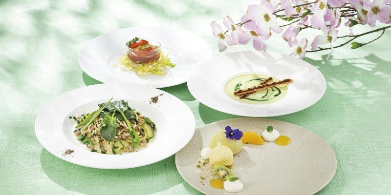 ヨックモック青山本店 ブルー・ブリック・ラウンジ 【初夏のランチコース】サルシッチャのクリームパスタなど4品＋乾杯スパークリング（～6月13日 ...