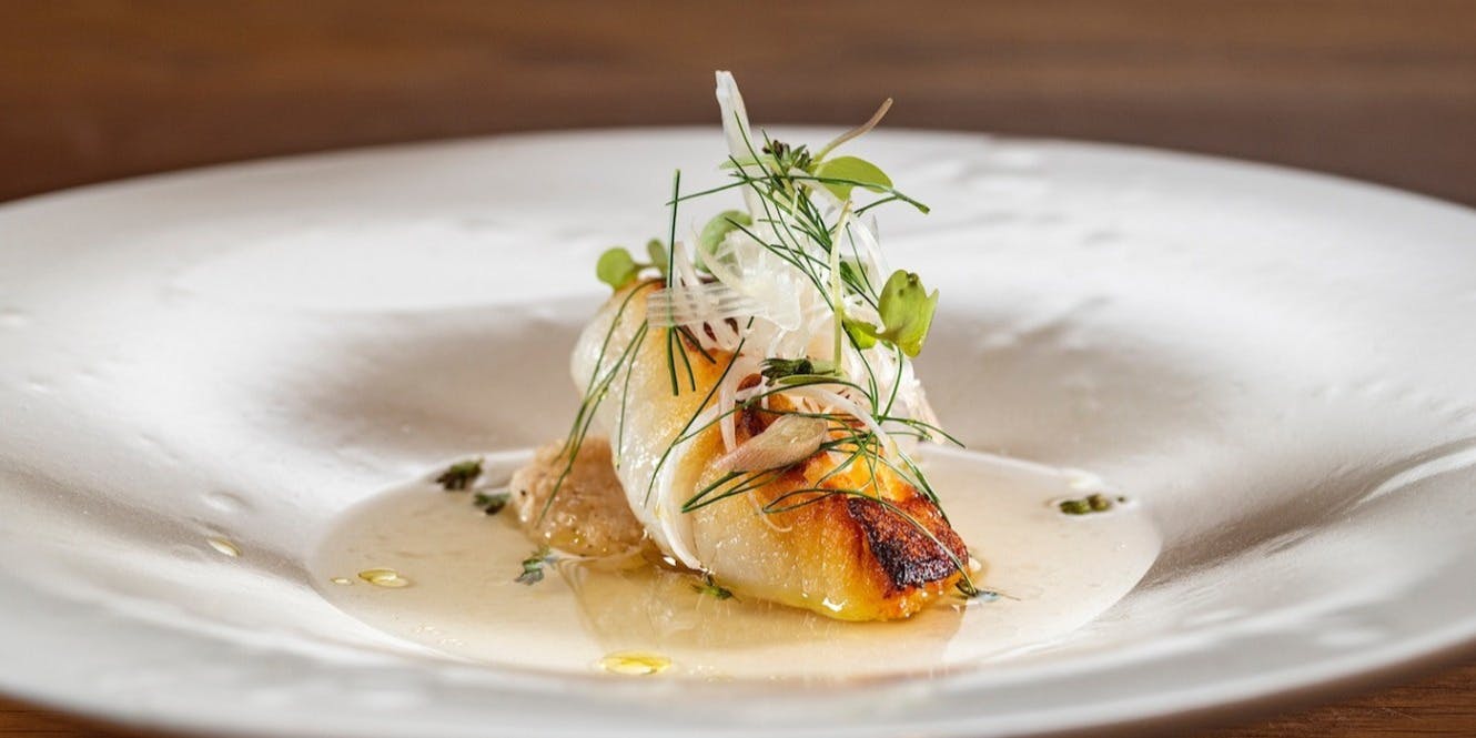 中魚町 Barba Bianca Corso コース料理 全7品（デザート含む） ディナー プラン(12347166)・メニュー