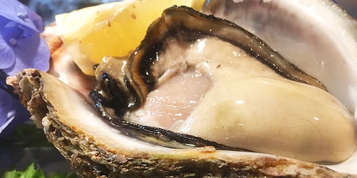 神田新八 本店 新八会席（平日プラン） ディナー プラン(12103702)・メニュー