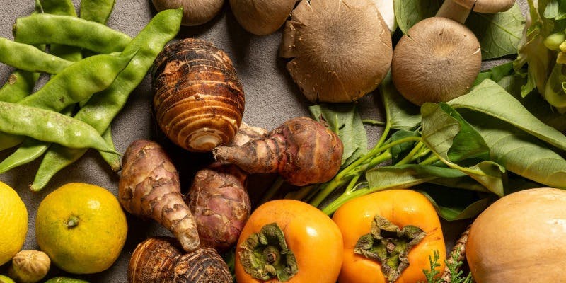 KOSA／エースホテル京都レストラン 【Vegan Dinner Course】Farm To Tableを堪能できる全8品（土日祝・17時半 ...