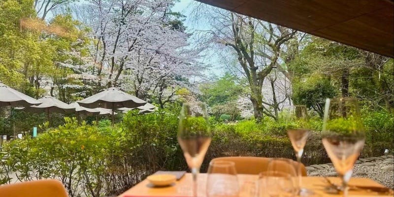 TEIEN Restaurant comodo 11時のお席 【窓側確約プラン】桜が鑑賞できる店内で！comodo lunch course ...