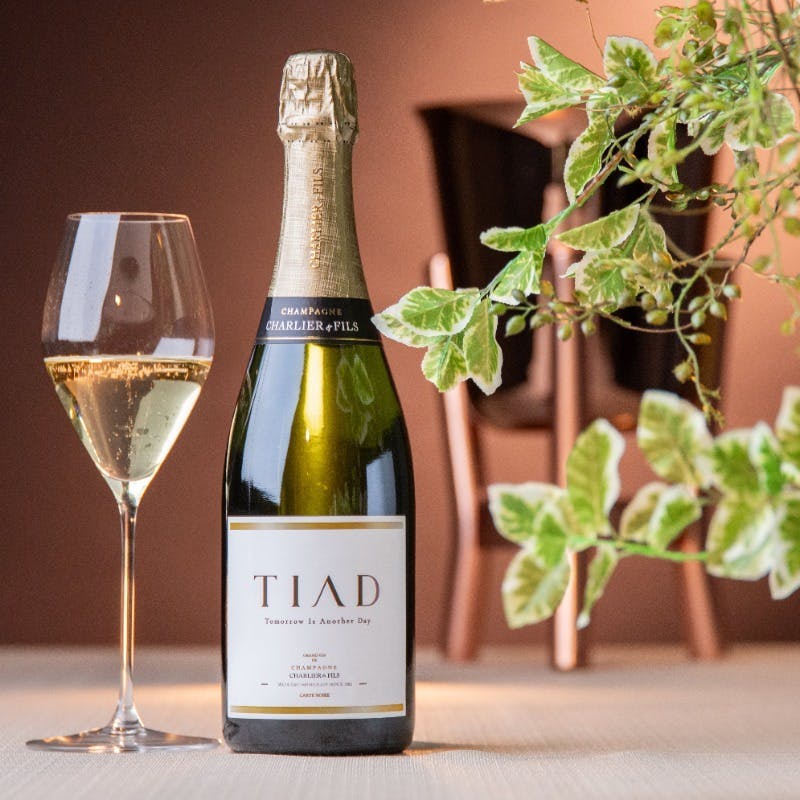 Table for Tomorrow／TIAD,AUTOGRAPH COLLECTION 【席のみ予約】 ランチ プラン(12044228 ...