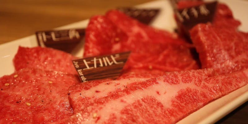 NO MEAT, NO LIFE.6x 席のみ ディナー プラン(11941869)・メニュー