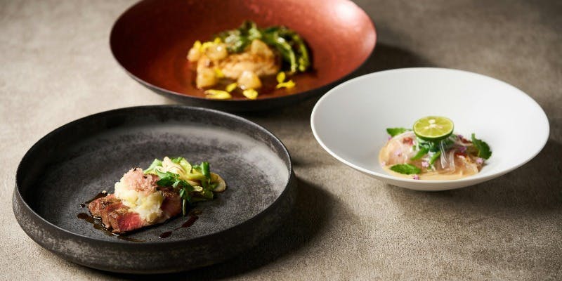 DEK DINING 国産青果の魅力を贅沢にお楽しみいただけるスペシャルコース全8品 ディナー プラン(11970662)・メニュー