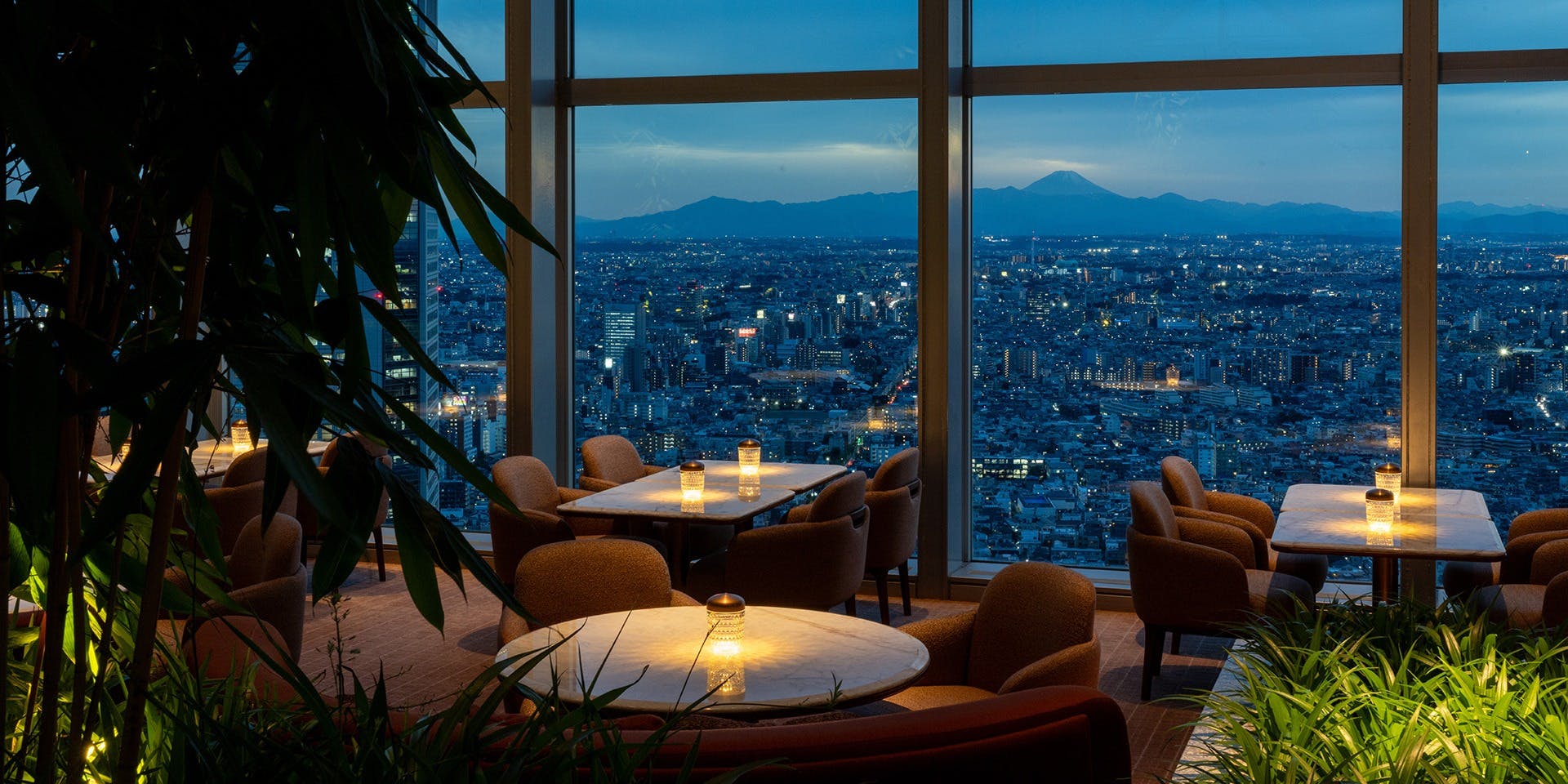 ピーク ラウンジ＆バー／パーク ハイアット 東京 ピーク オブ ジョイ（3月16日～） ディナー プラン(12611749)・メニュー