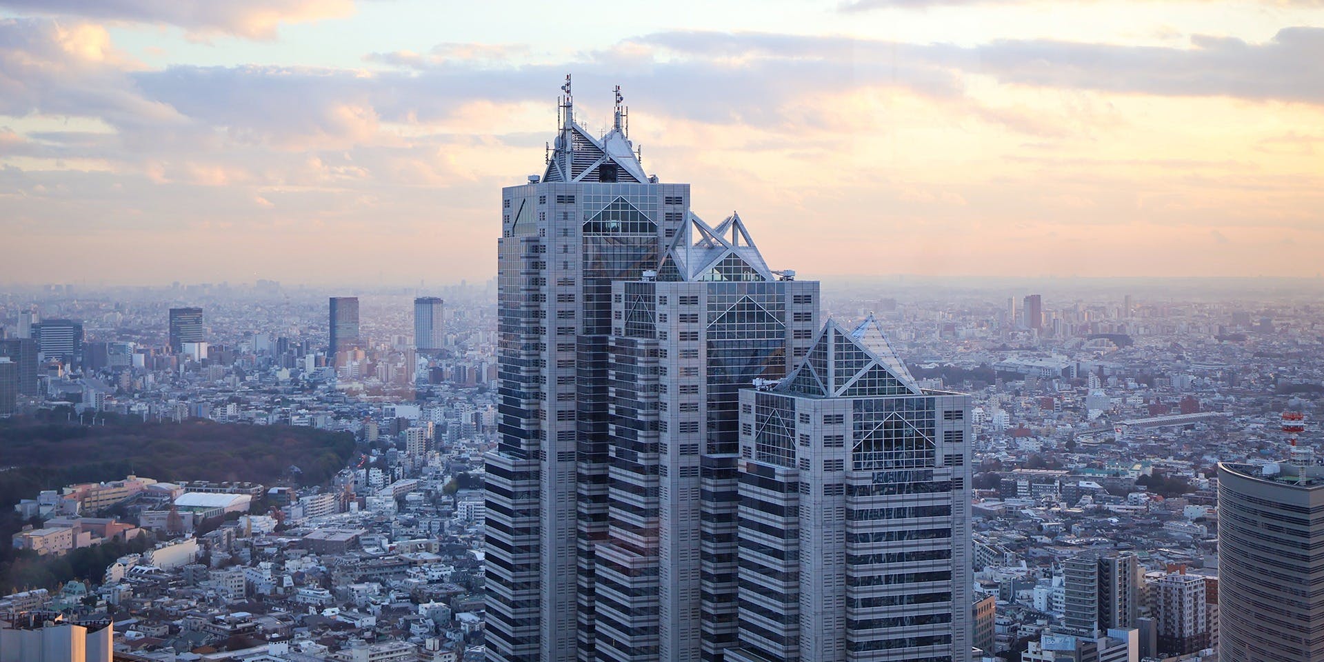 ピーク ラウンジ＆バー／パーク ハイアット 東京 ピーク オブ ジョイ（3月16日～） ディナー プラン(12611749)・メニュー